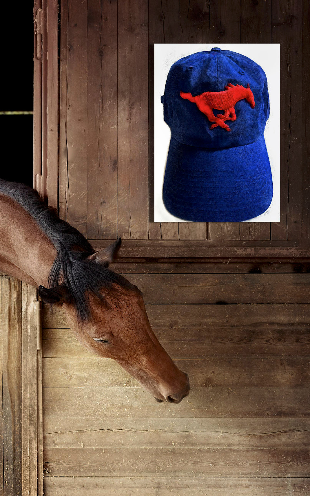 Axis Hats NY: Unique, exclusive, collegiate, limited art collection ...